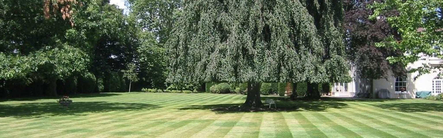 NJL BoxGreen | Grounds maintenance and landscape specialists